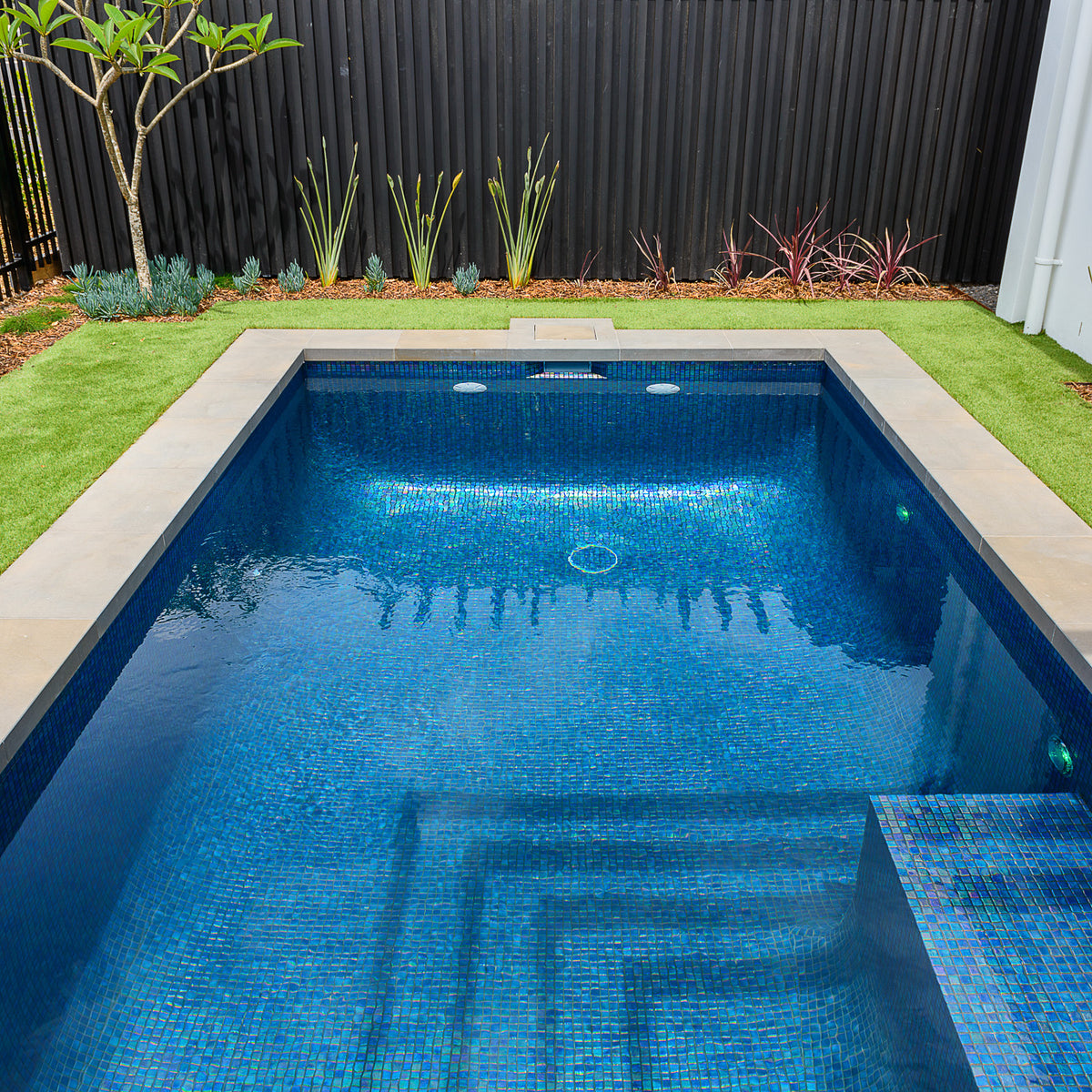 Aust Designer Manly – Studio xOx