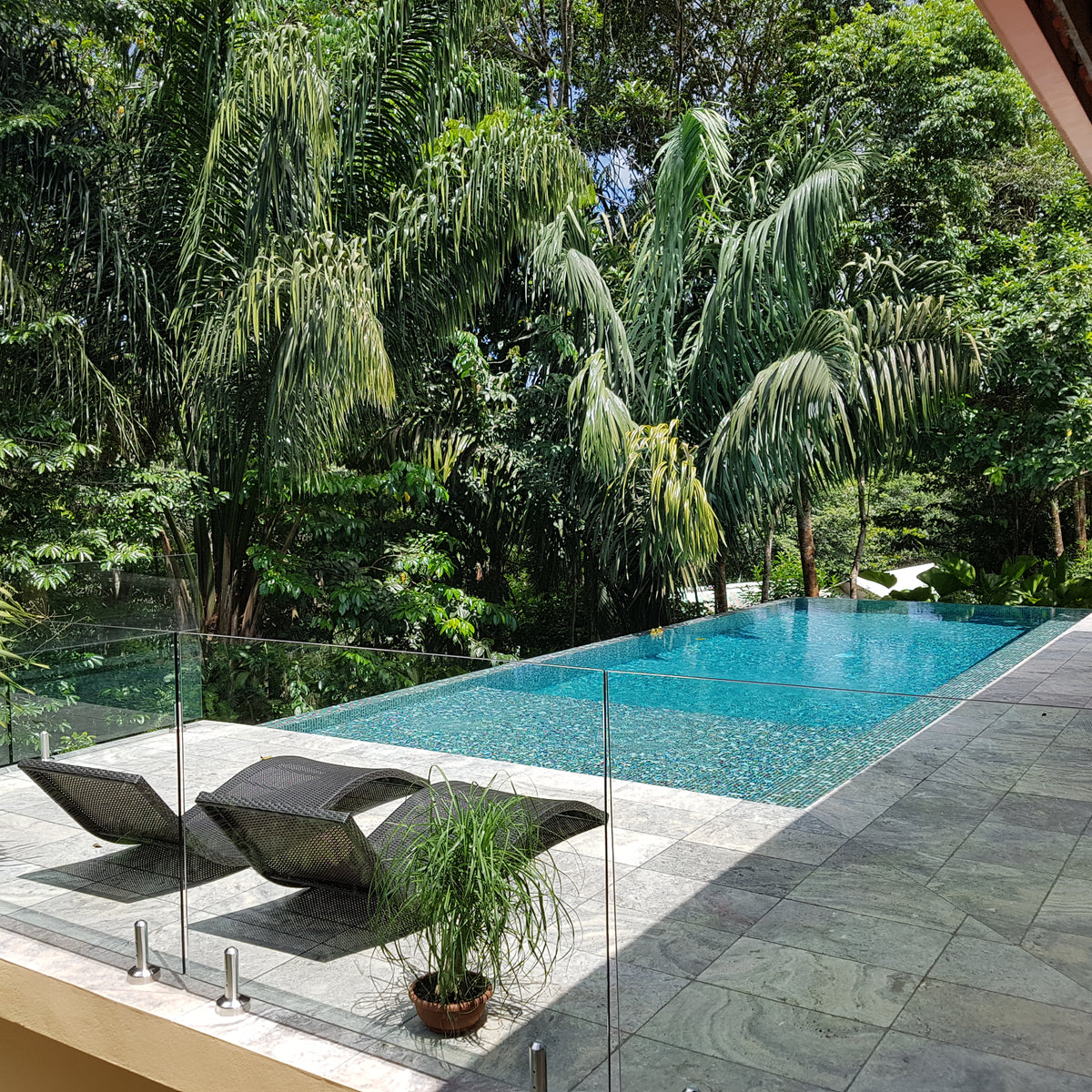 Cocktail Tomahawk – Studio xOx